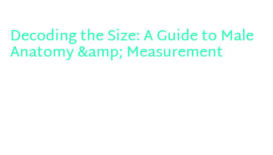 Decoding The Size A Guide To Male Anatomy And Measurement Walmi